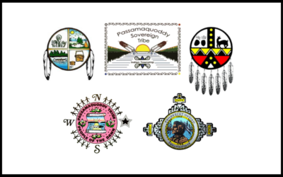 Home - Wabanaki Alliance