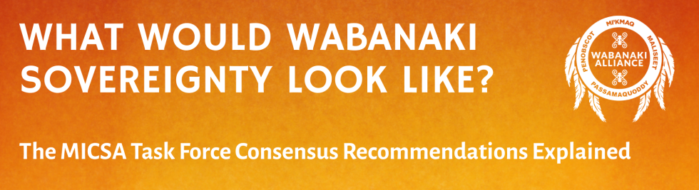 MICSA Task Force Recommendations: An Explainer - Wabanaki Alliance